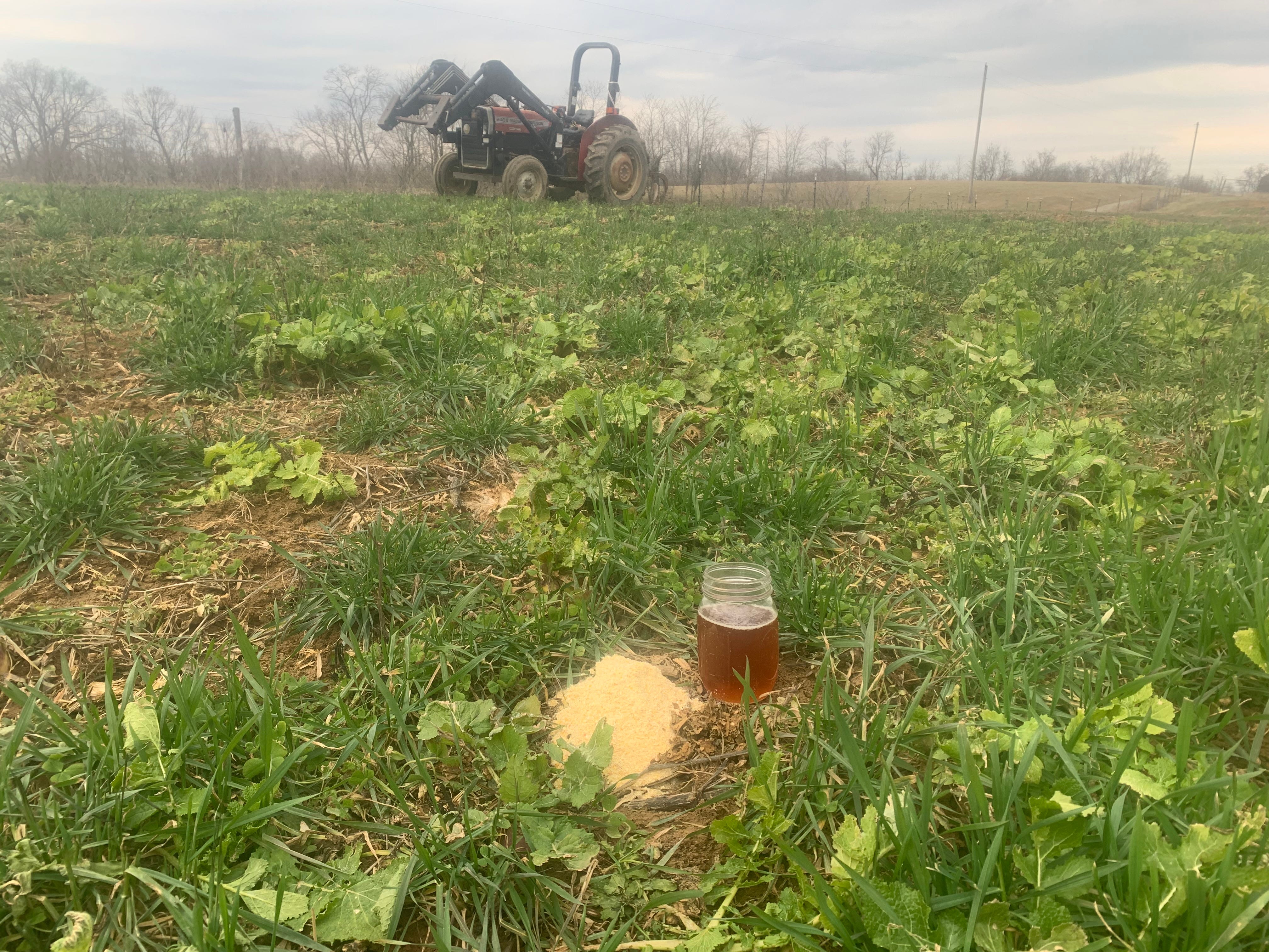 Metera - The Cunning Farmer