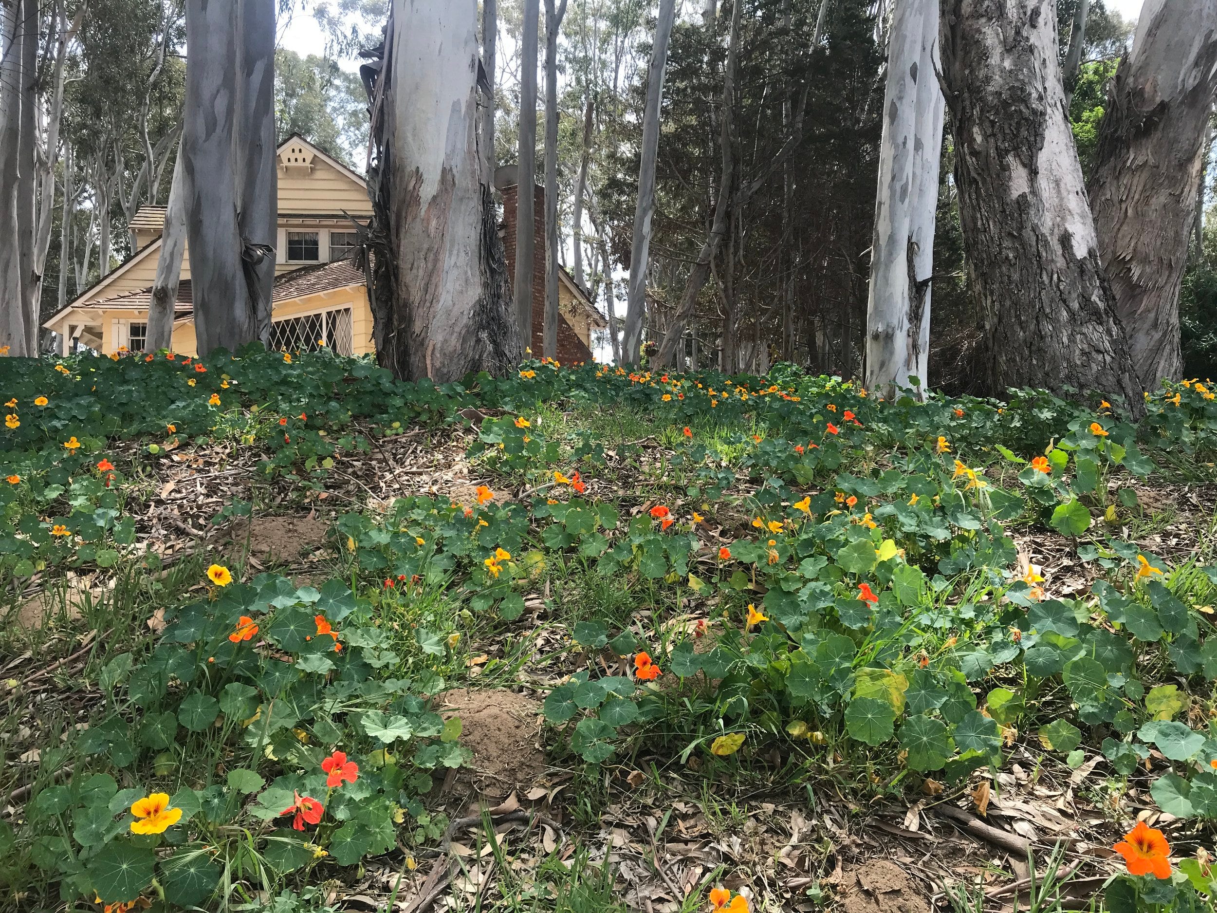 Tour de Los Angeles - by Aaron Rickel Jones