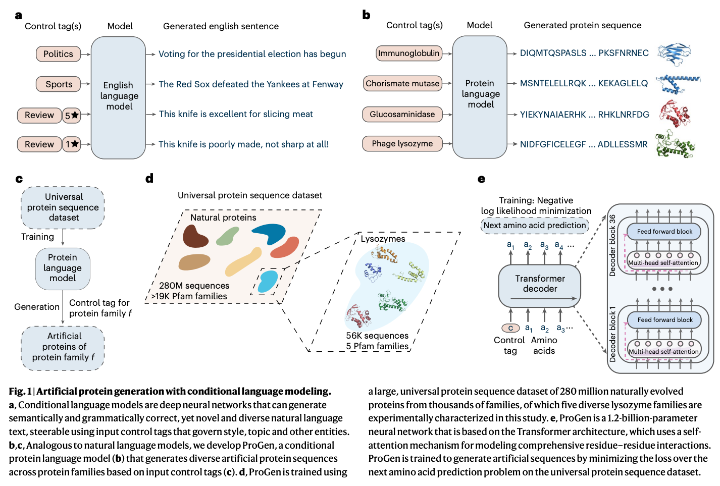 More about Protein Language Models - by Bharath Ramsundar