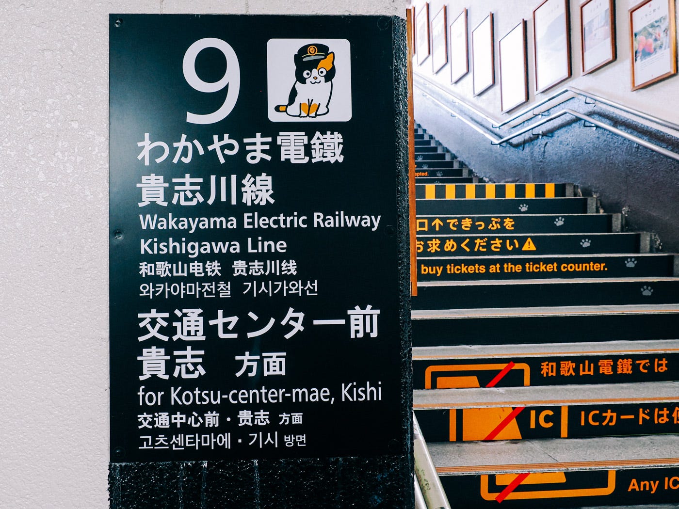 Tama Densha Cat Train - by Matt Murray - Japan Pics