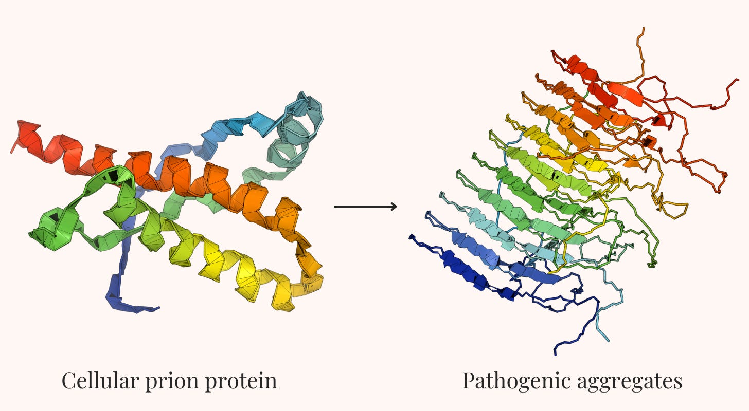 On Prions and Protein Design - Asimov Press