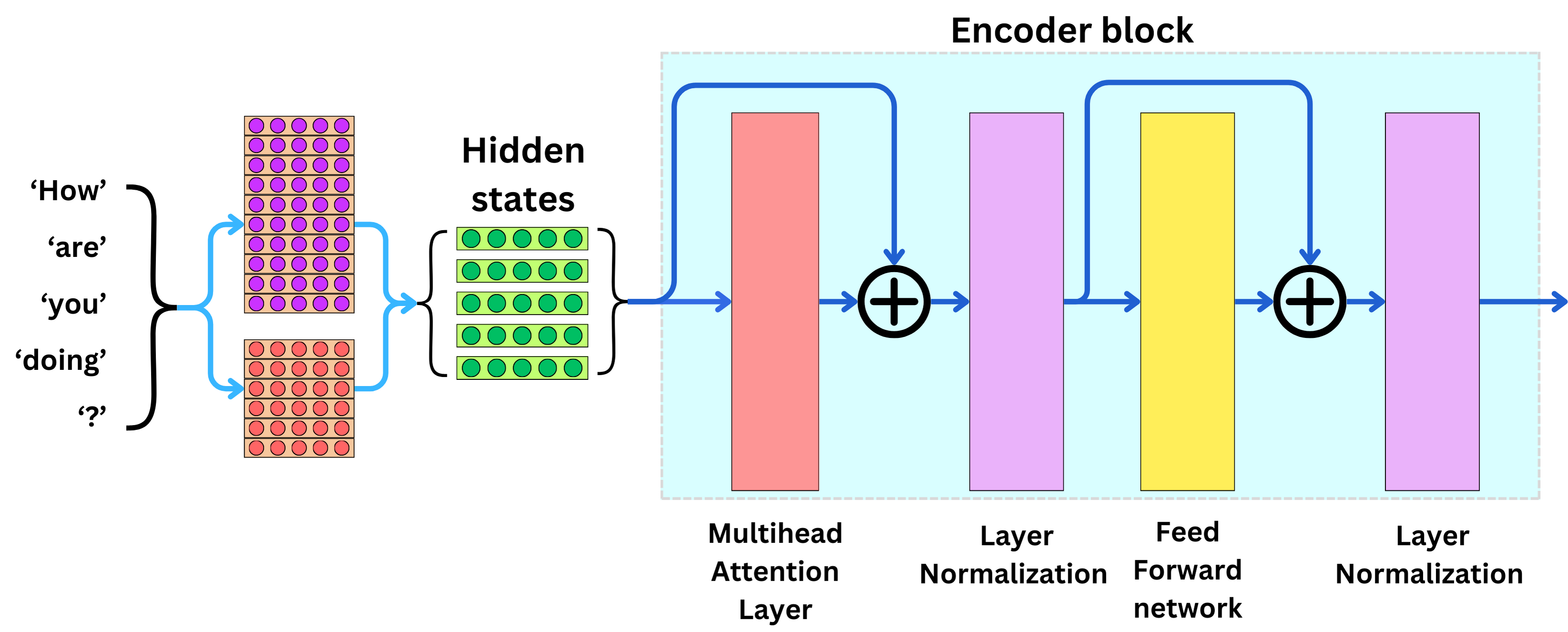 Understanding The Transformer Architecture