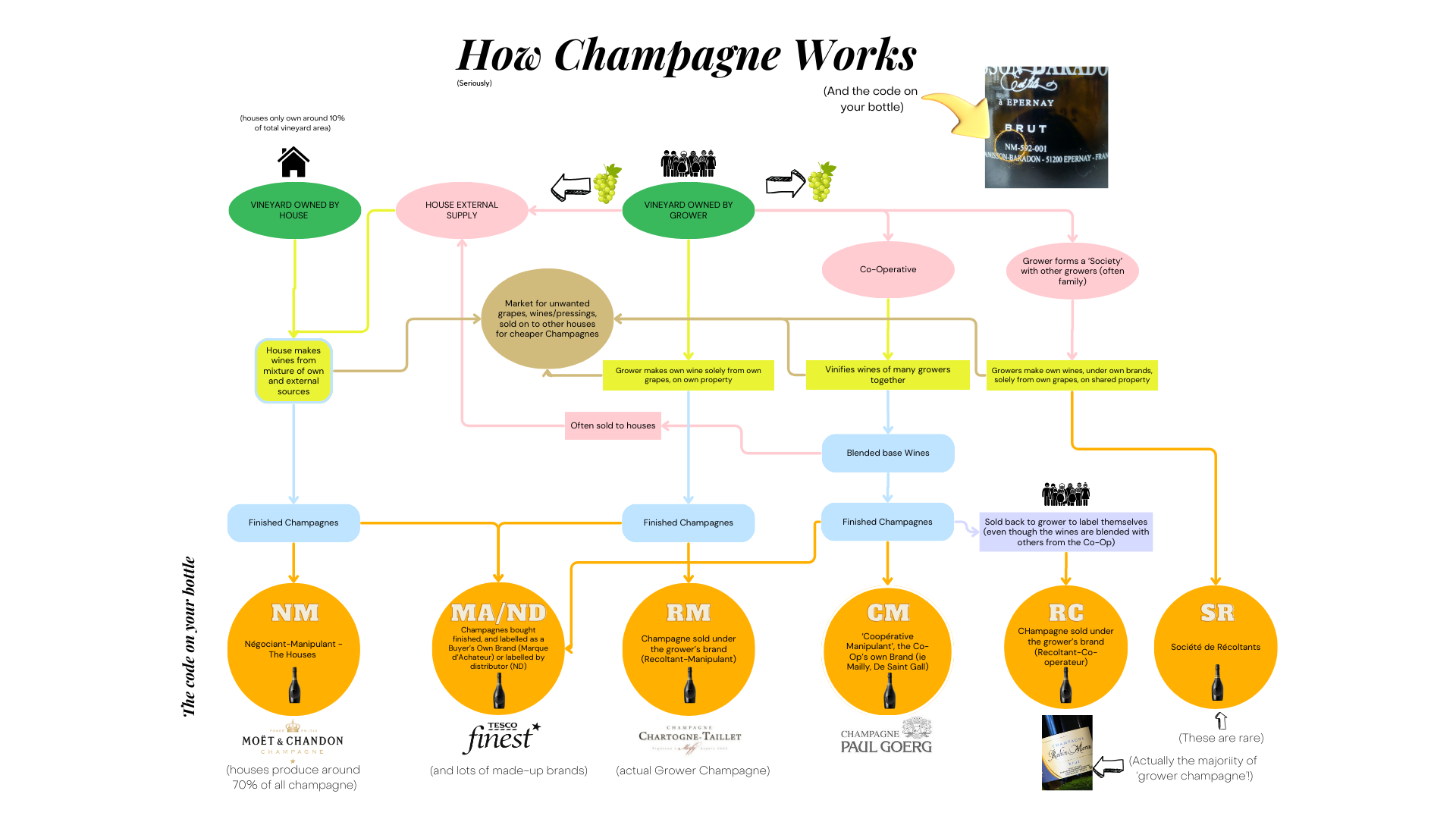 Bubbleschool - The Structure of Champagne - by Tom Hewson