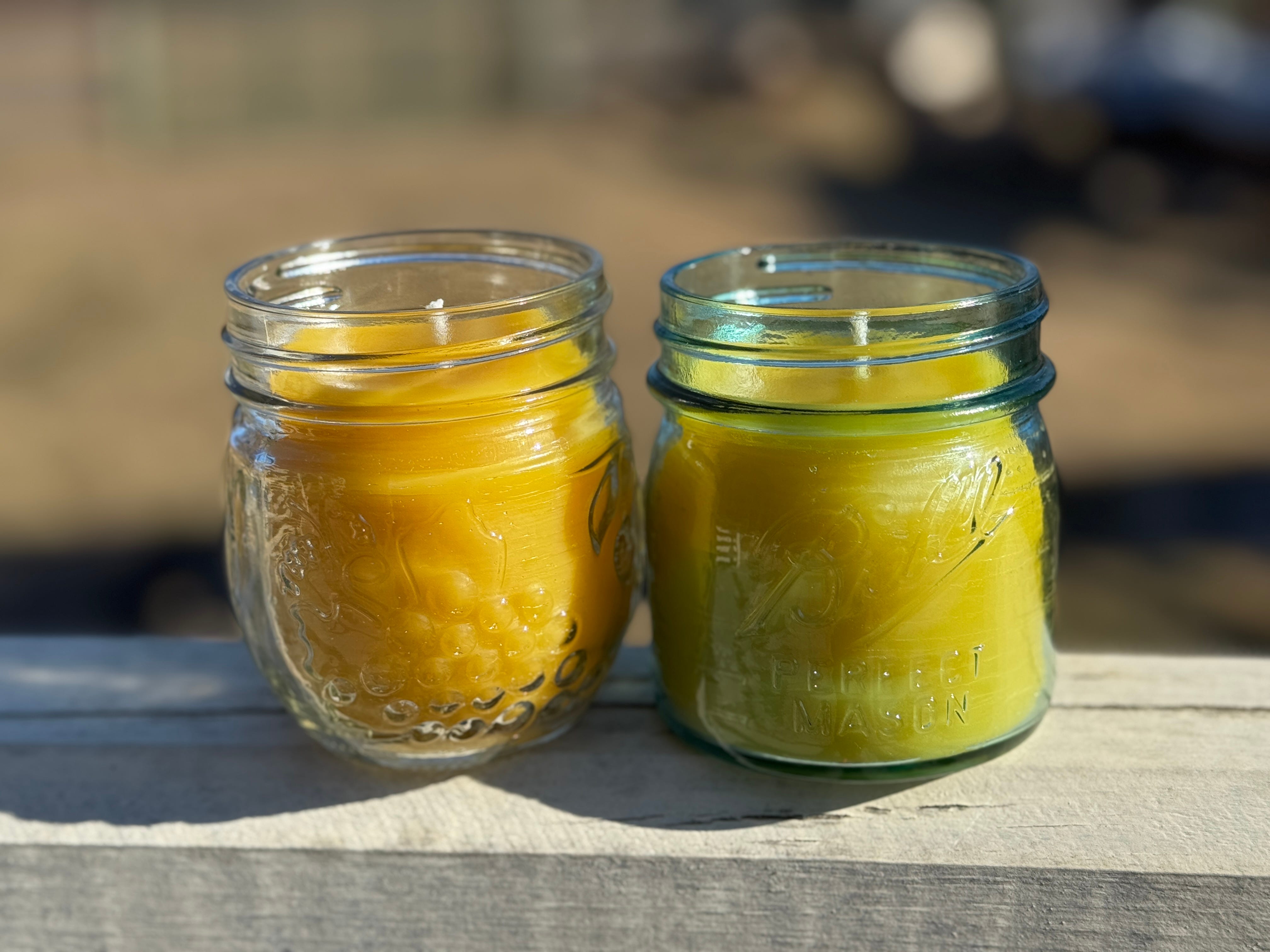 Listicle March 1, 2025 - Anna’s Substack