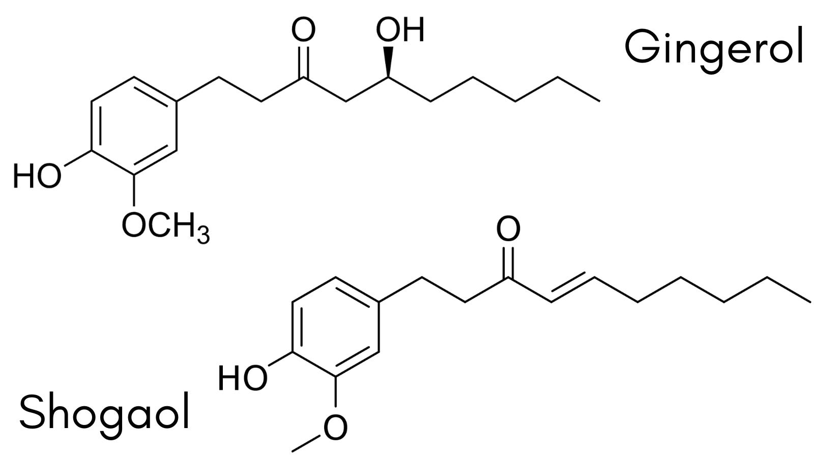 The genius of ginger - by Cassandra Quave