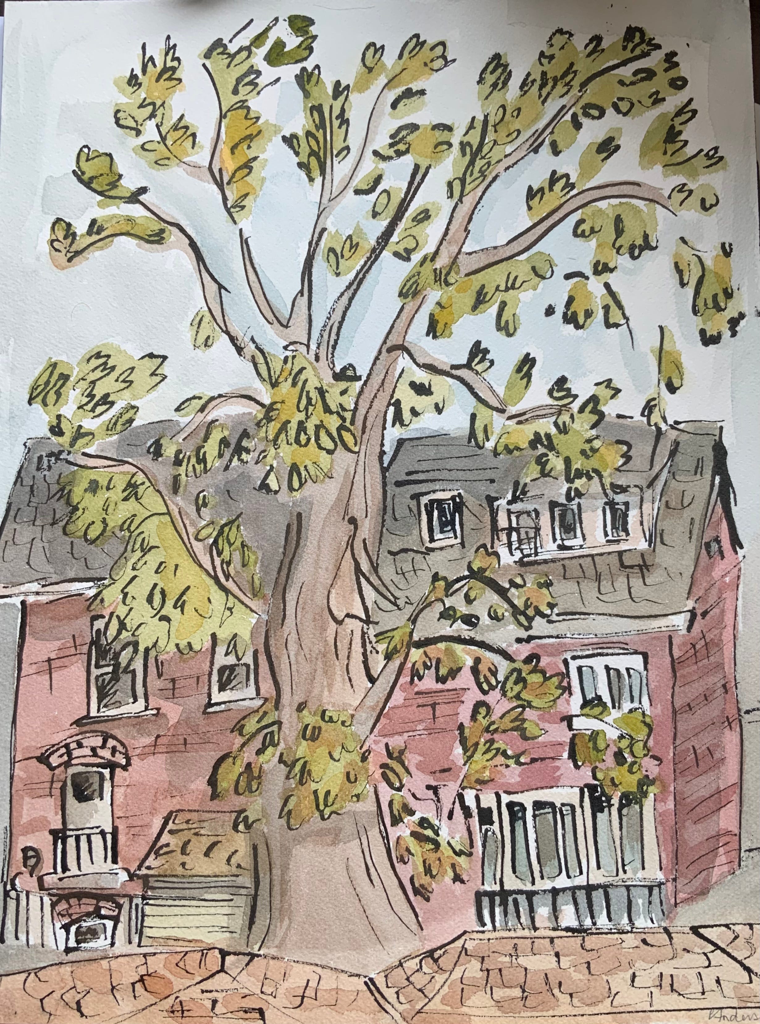 The Rocking Tree - by Charlotte Anderson