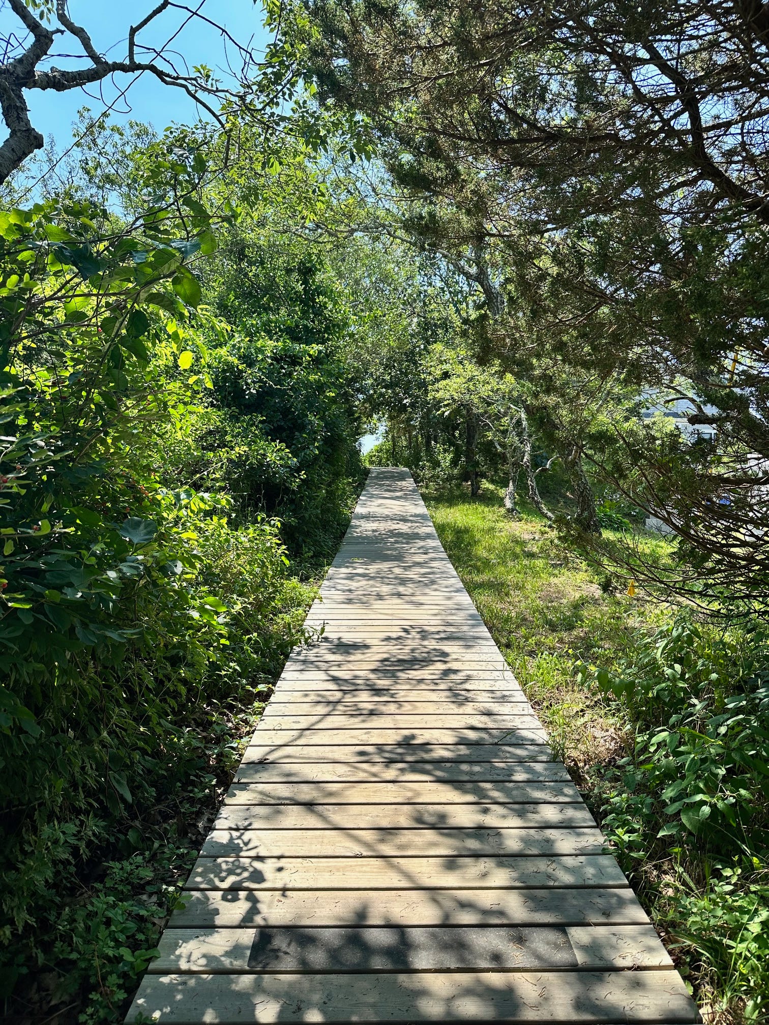 Travel Guide: Eastham, Cape Cod, Massachusetts