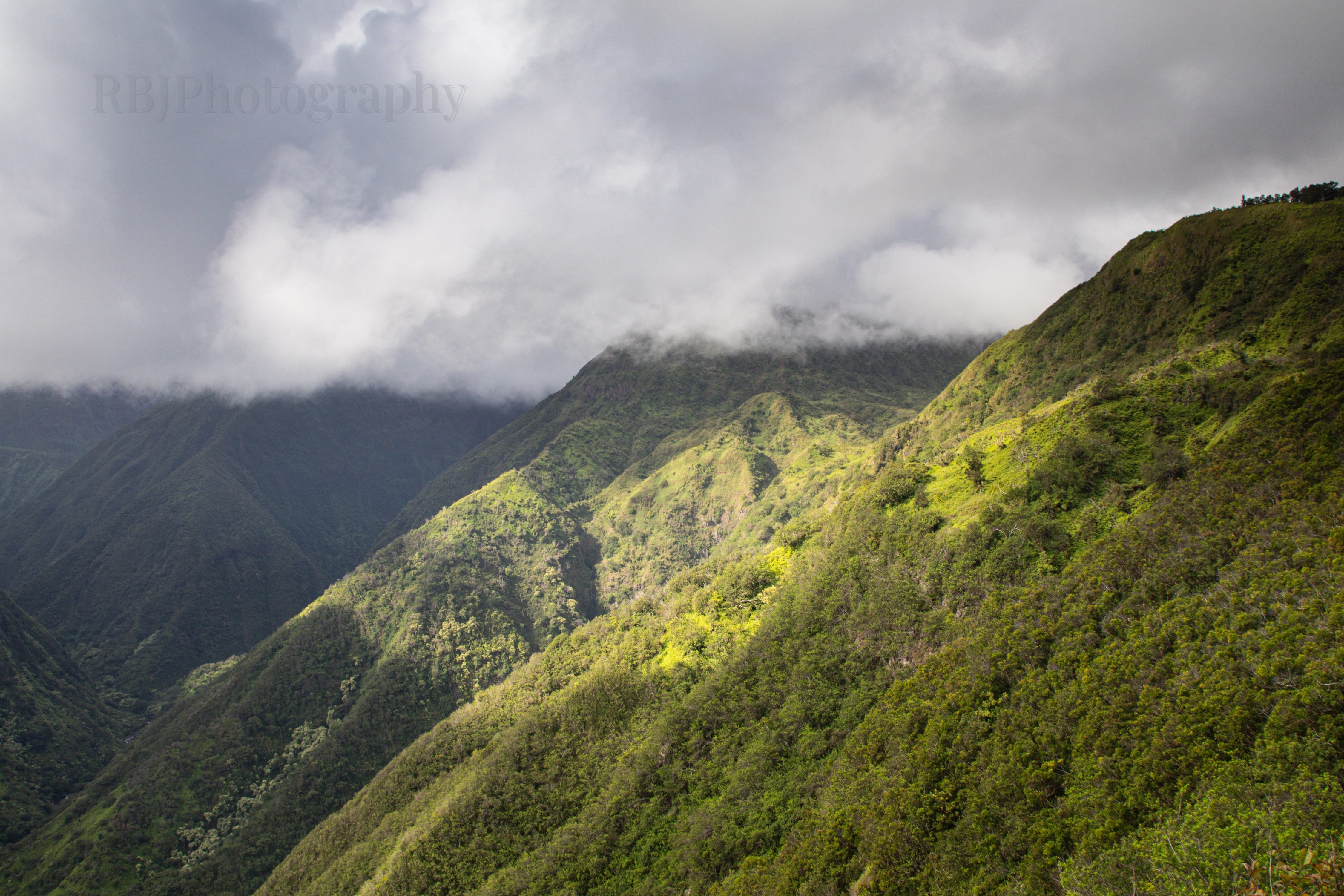Waihe'e Ridge Trail, Maui, October 2024 - by Rachel Jeffrey