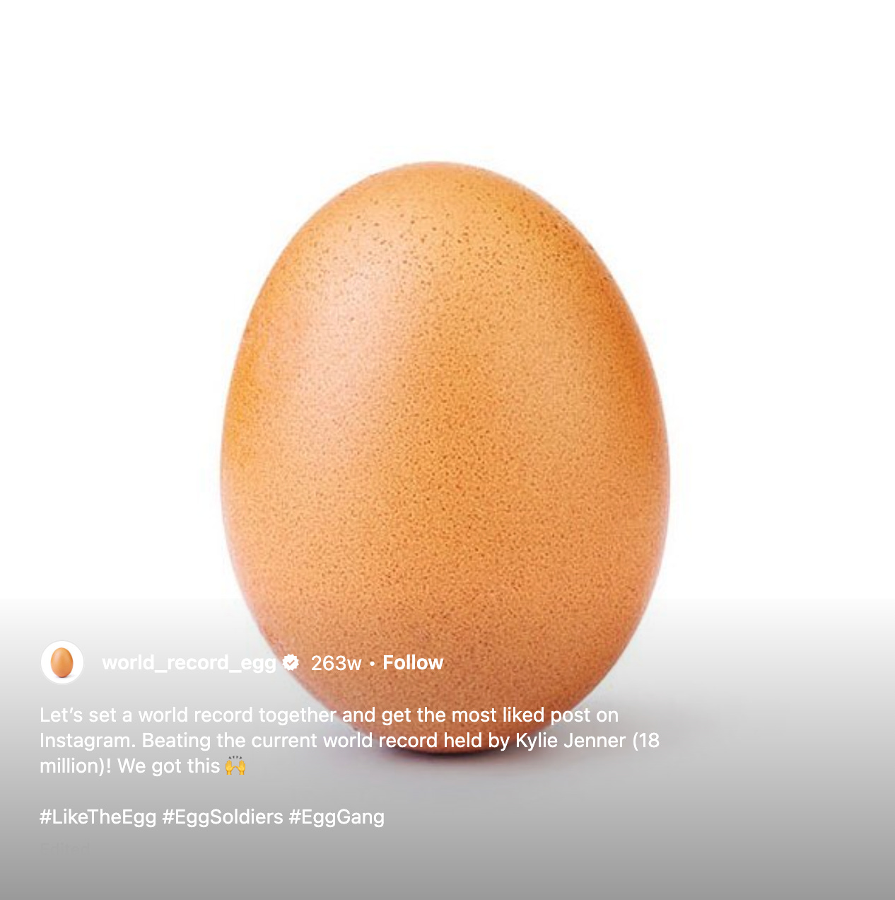 Instagram Egg Post - by Janelly Rossi - Janelly’s Substack