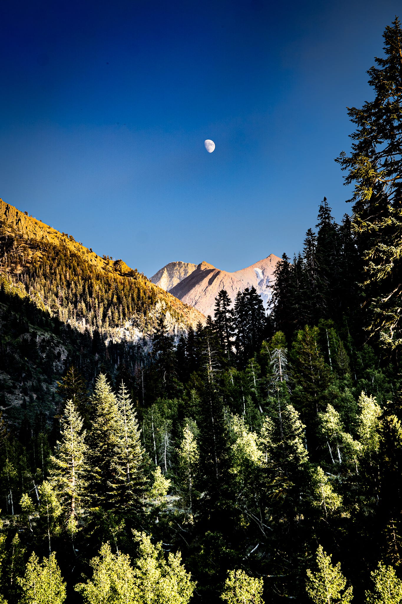 A line has been crossed. - by Robert B. Hubbell