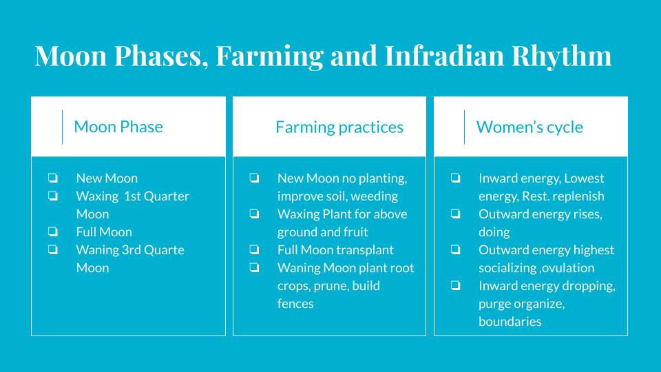 Reflections on the Moon - by Jess Mujica