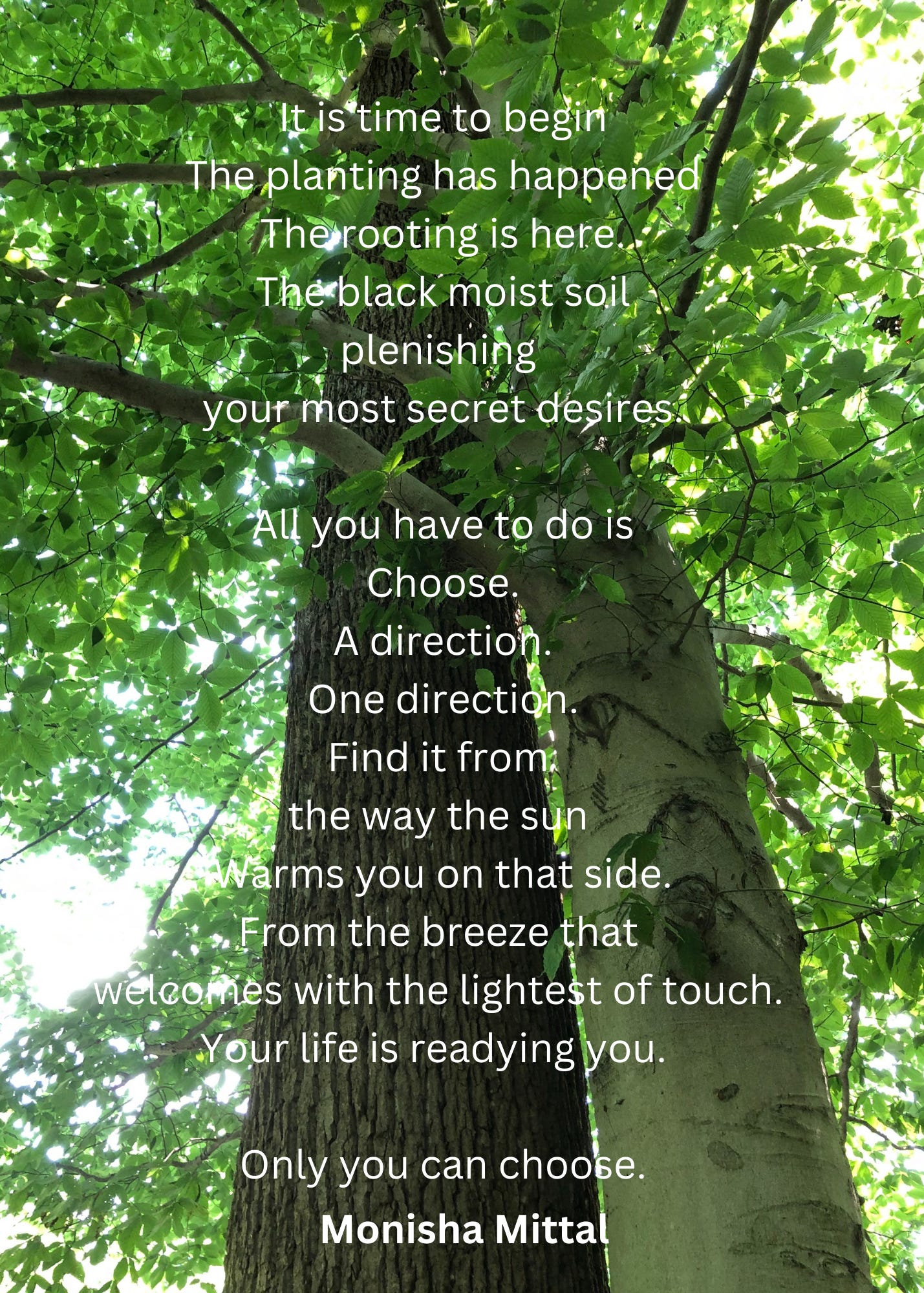 Speaking my own Poem - by Monisha Mittal
