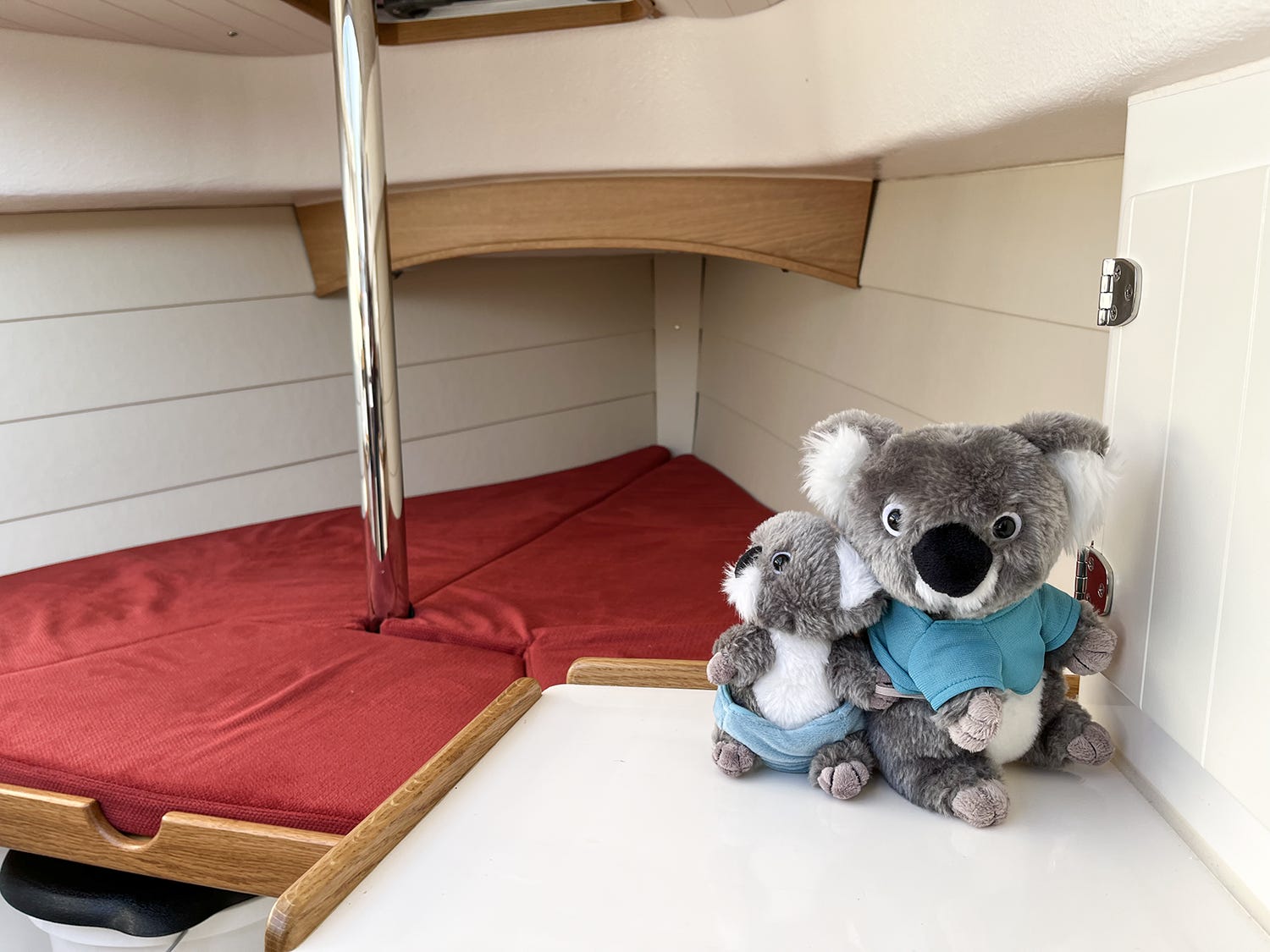 Reader Boat: Cygnet 20 - Small Craft Advisor