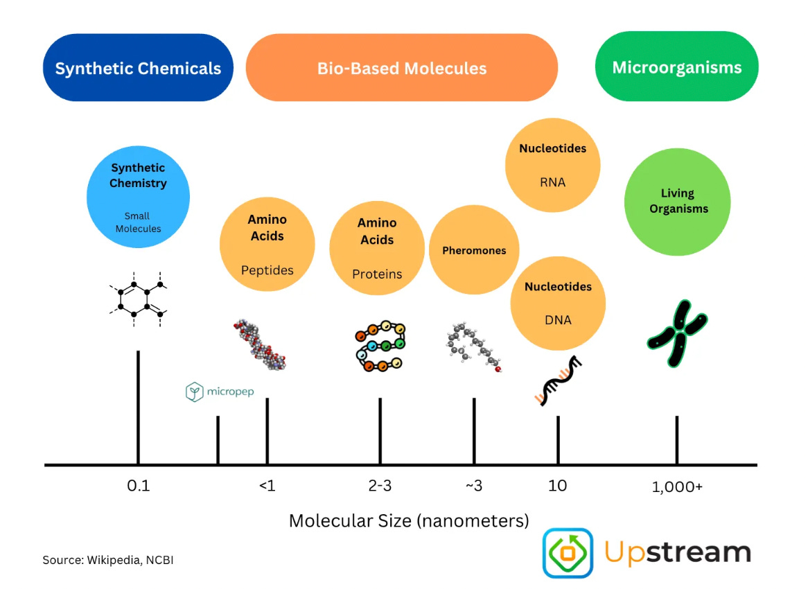 Micropep Raises $29M in Series B Funding and Unveils Krisalix, its ...