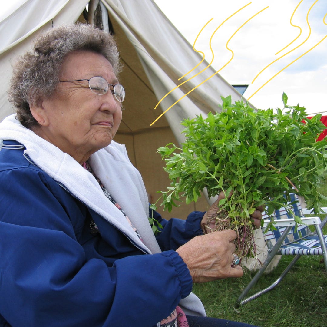 Awaiting the first snow - by Abaki Beck - Abaki’s Substack