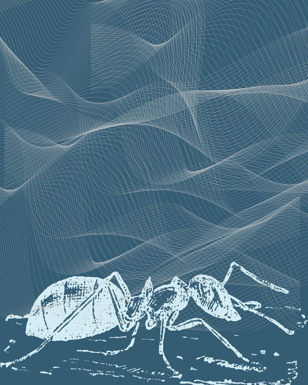 The Story of Kutuka the Ant - by Rohini Walker