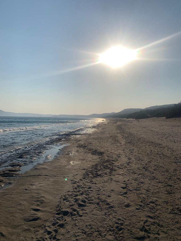 Sun, sand and stubborn ideas - by Claire Mackinnon