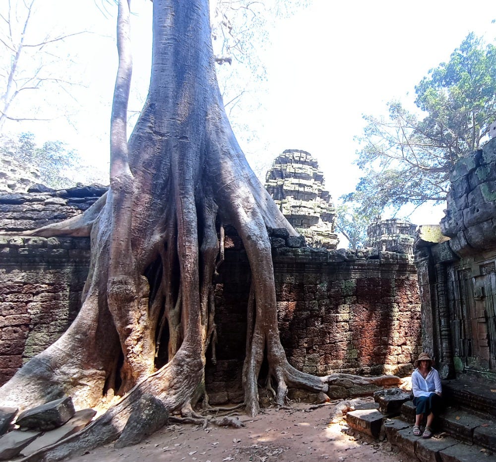 Angkor Wat - Laurel Goss EnRoot