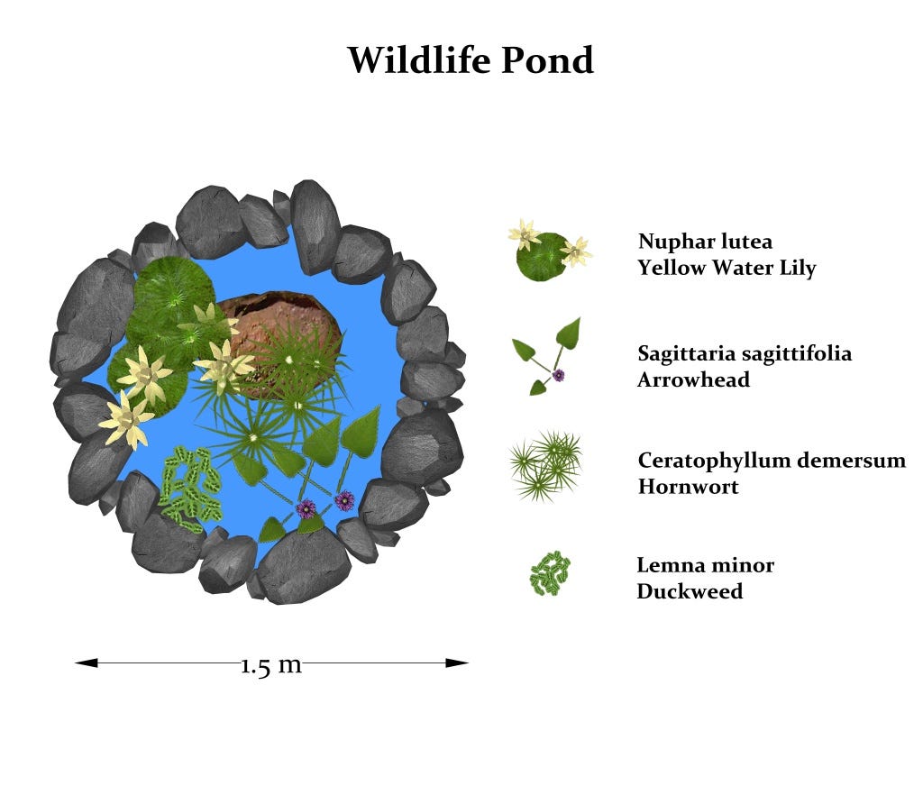 Balkan Ecology Project : Wildlife Pond Design, Planting and Management