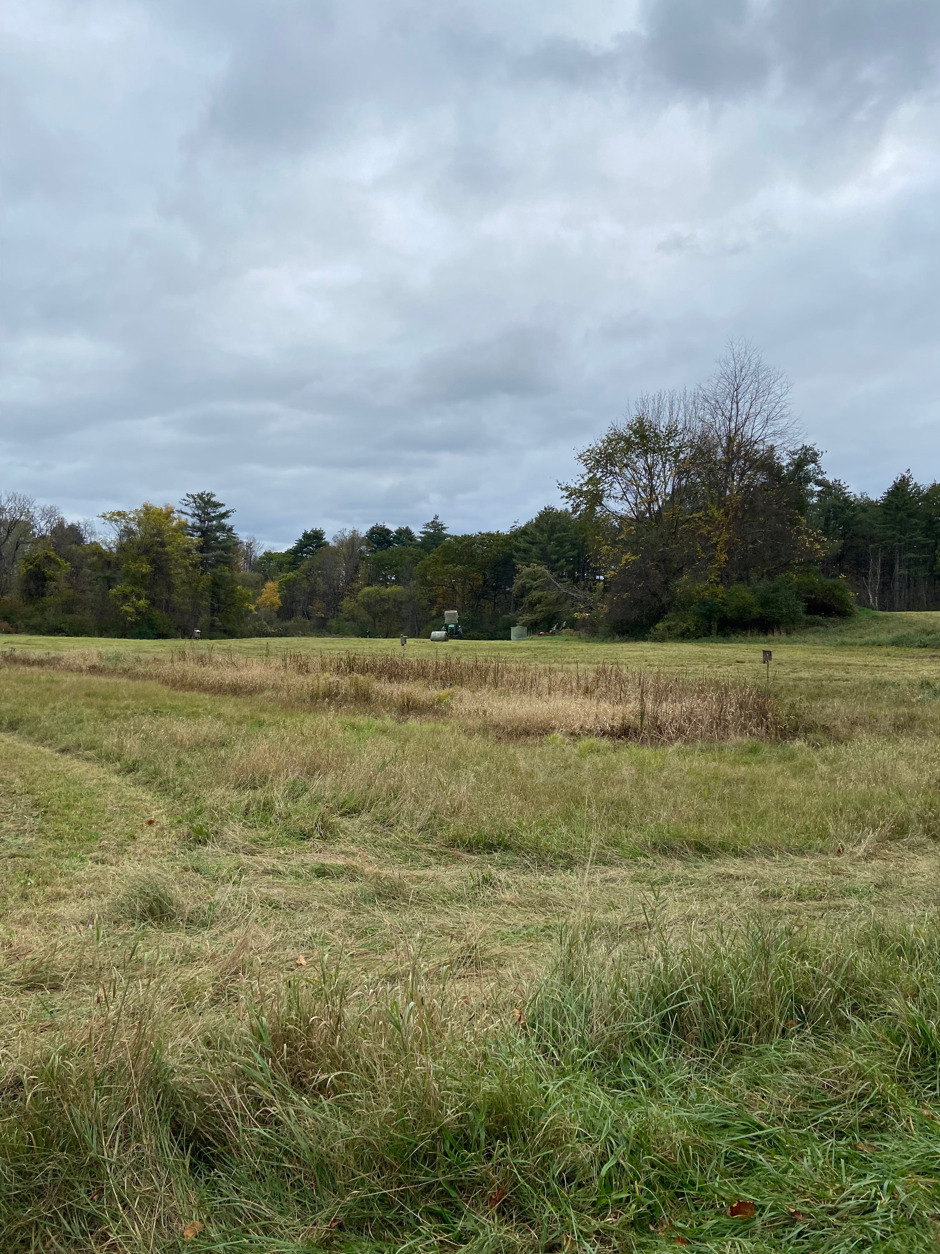 Hay today .... A photo essay