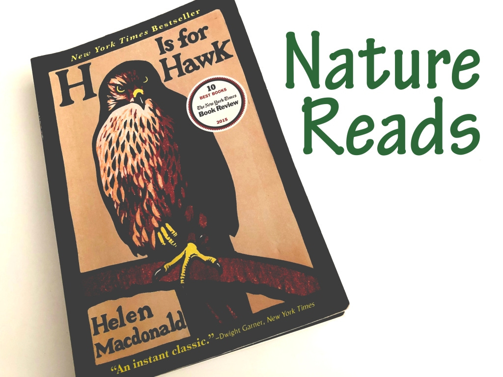 Nature Reads - H for Hawk - by Heather Toner