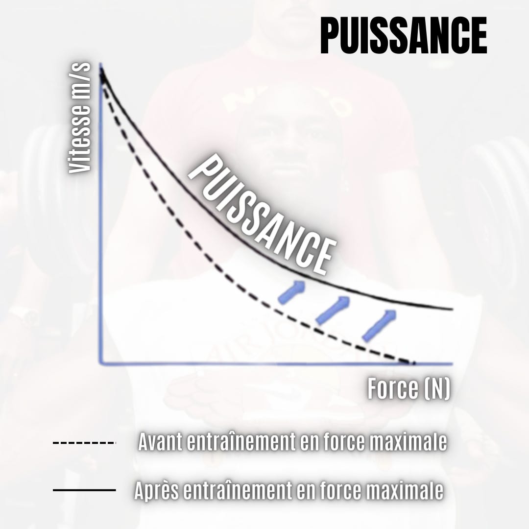 Pourquoi améliorer sa force maximale ? - by INEX TRAINING