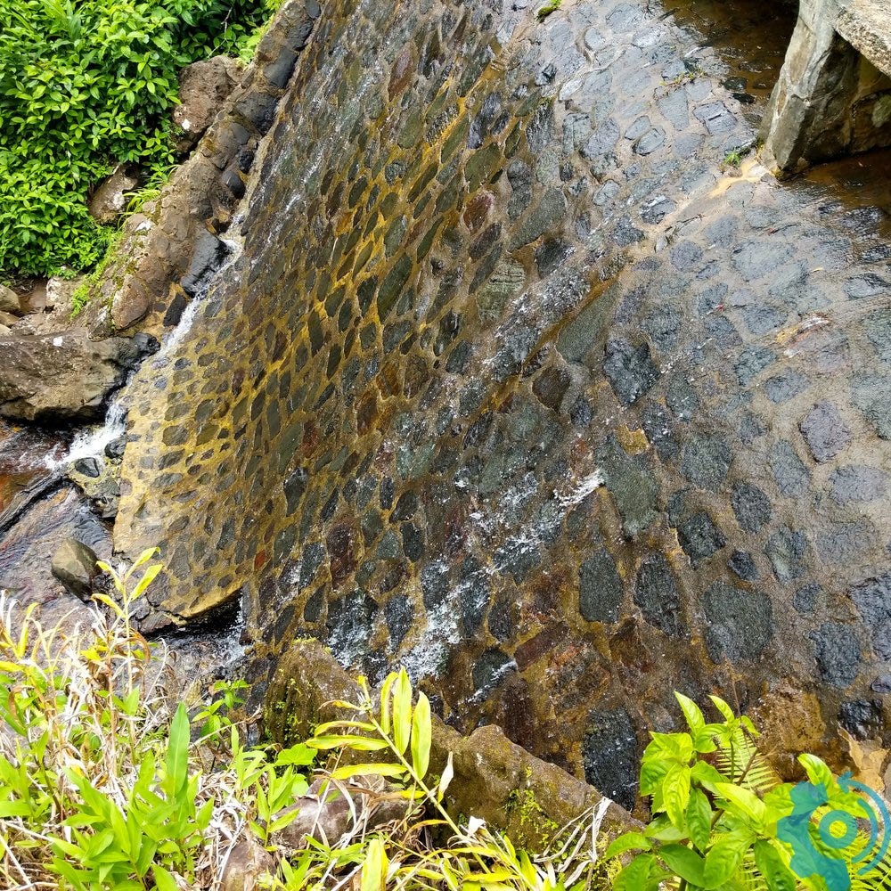 Rainforest Dam Hydrology - a travel case study