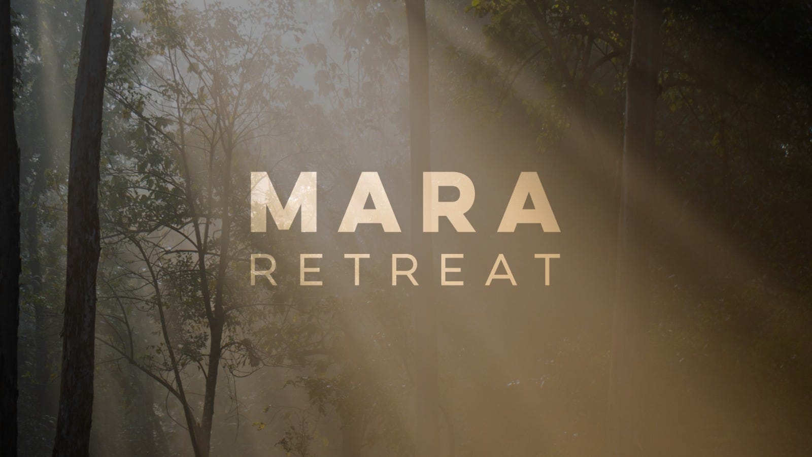 004: Good News for Stoke & Staffordshire - The Knot