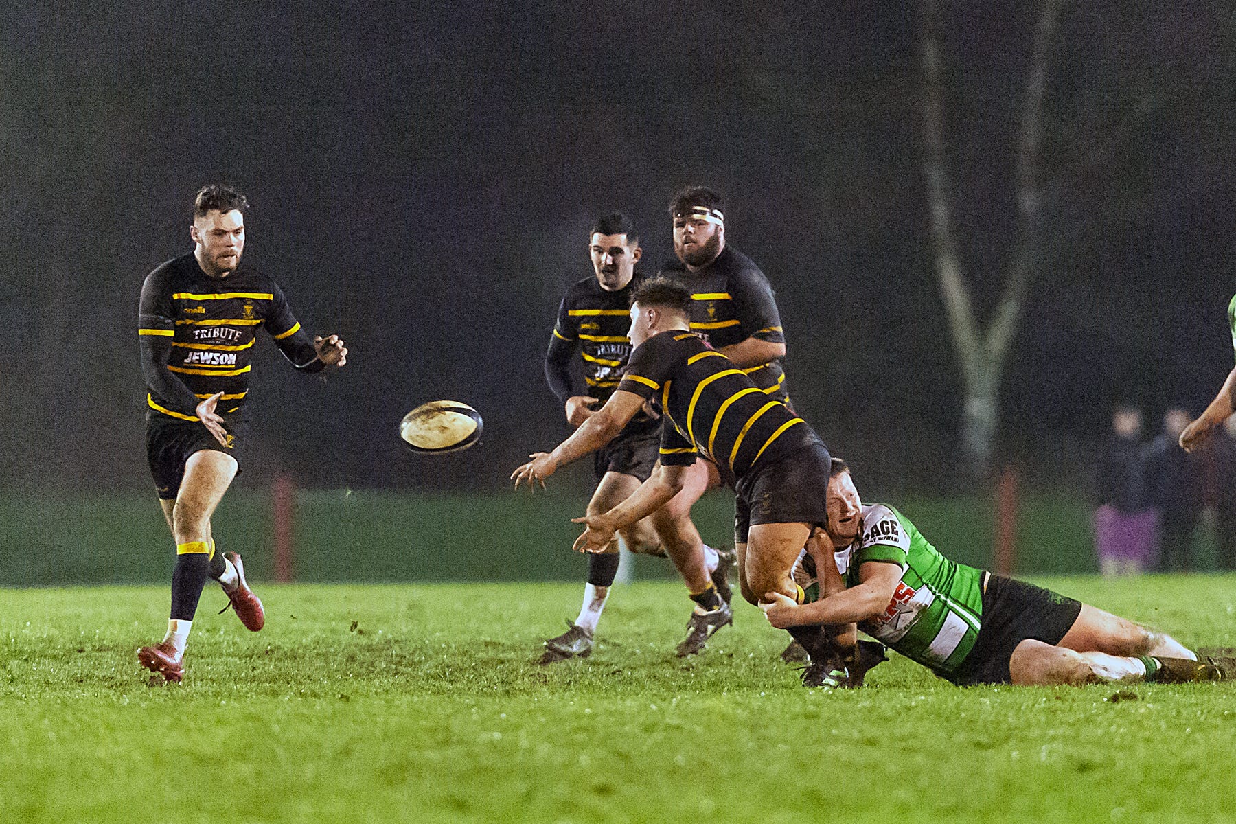 🏉 Cornwall Rugby: Black and Gold thrash Devon to retain Tamar Cup