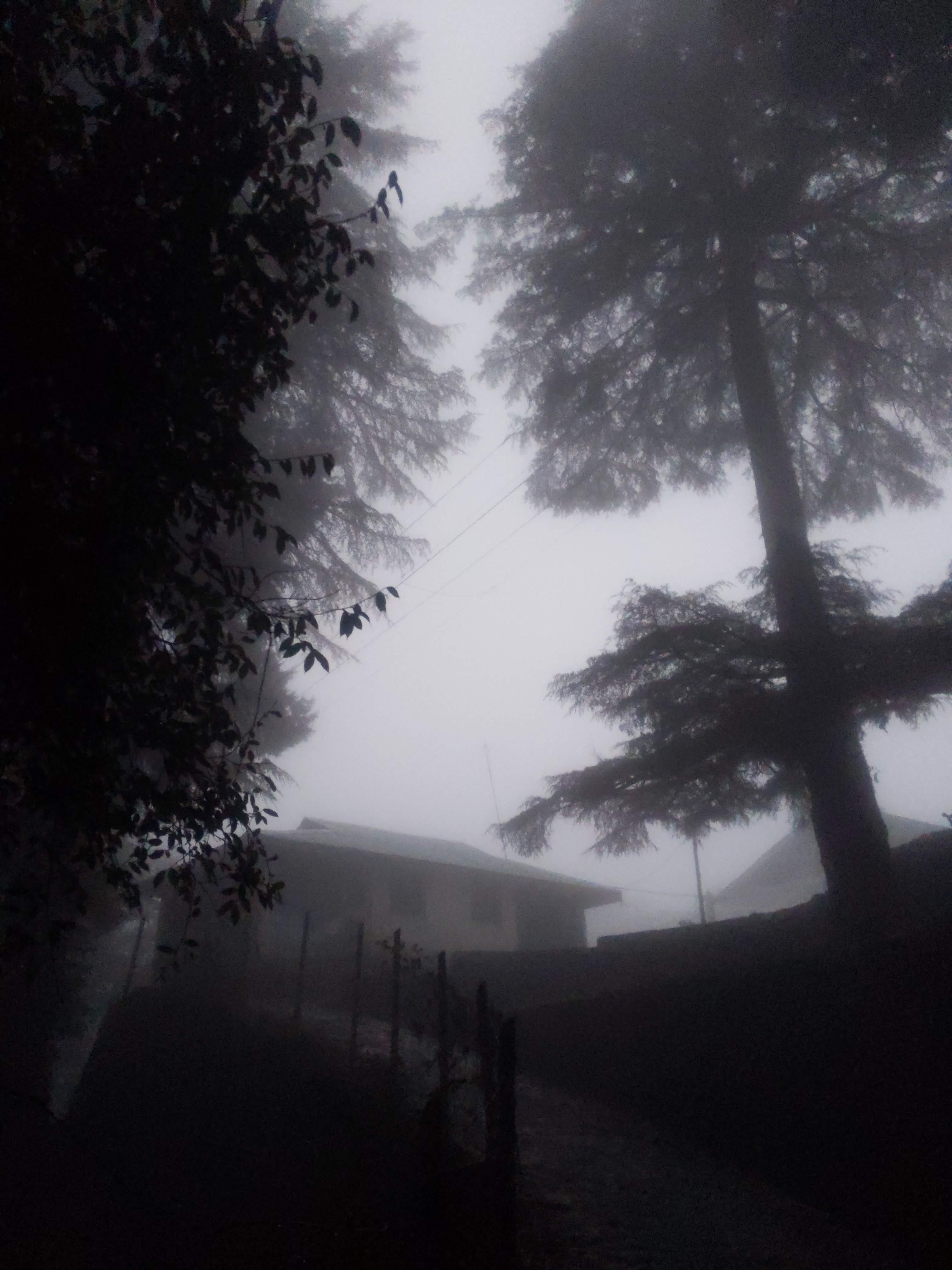 Snow days, litigation "risk" & rare festivals