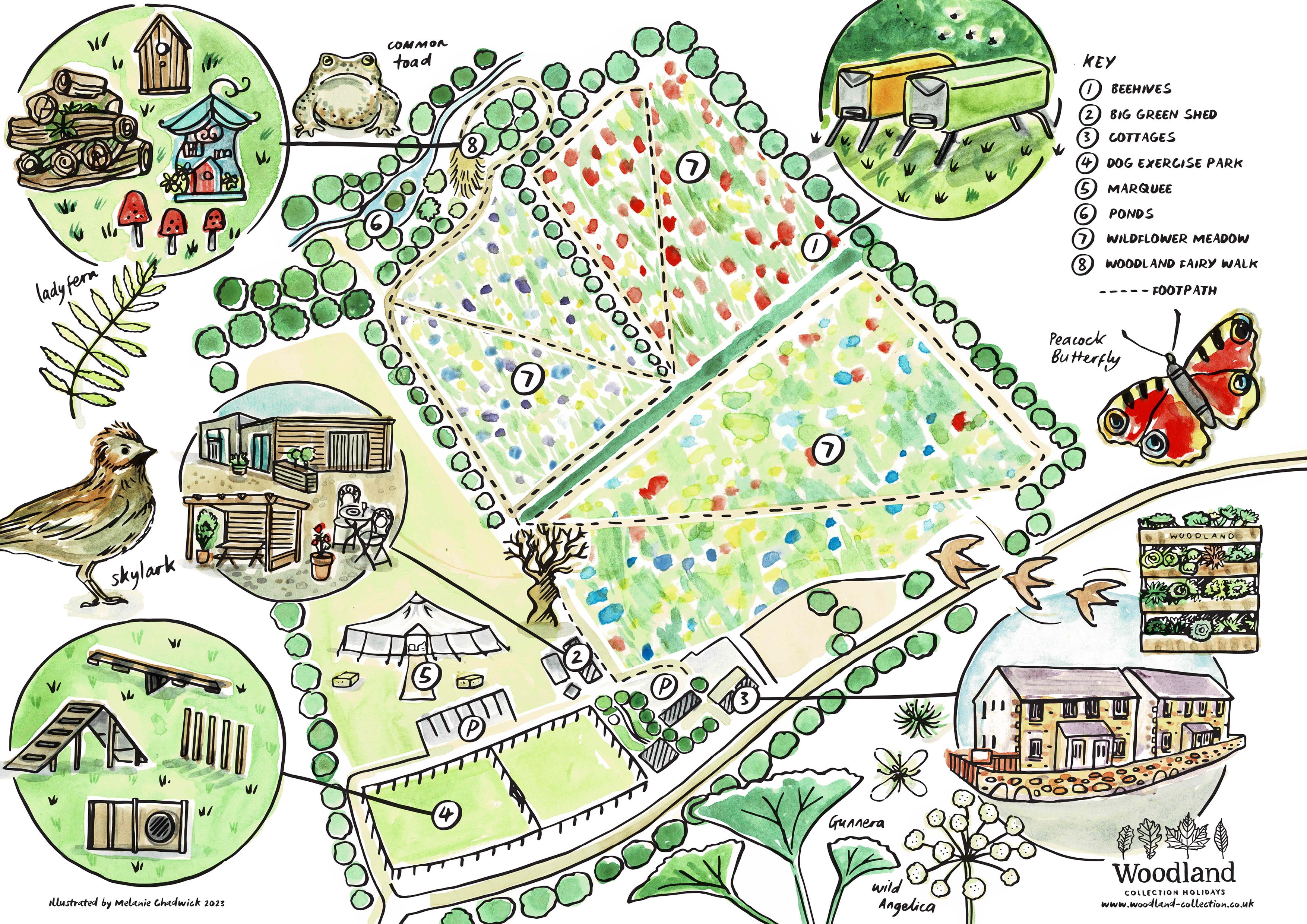 A month or so of maps - by Melanie Chadwick