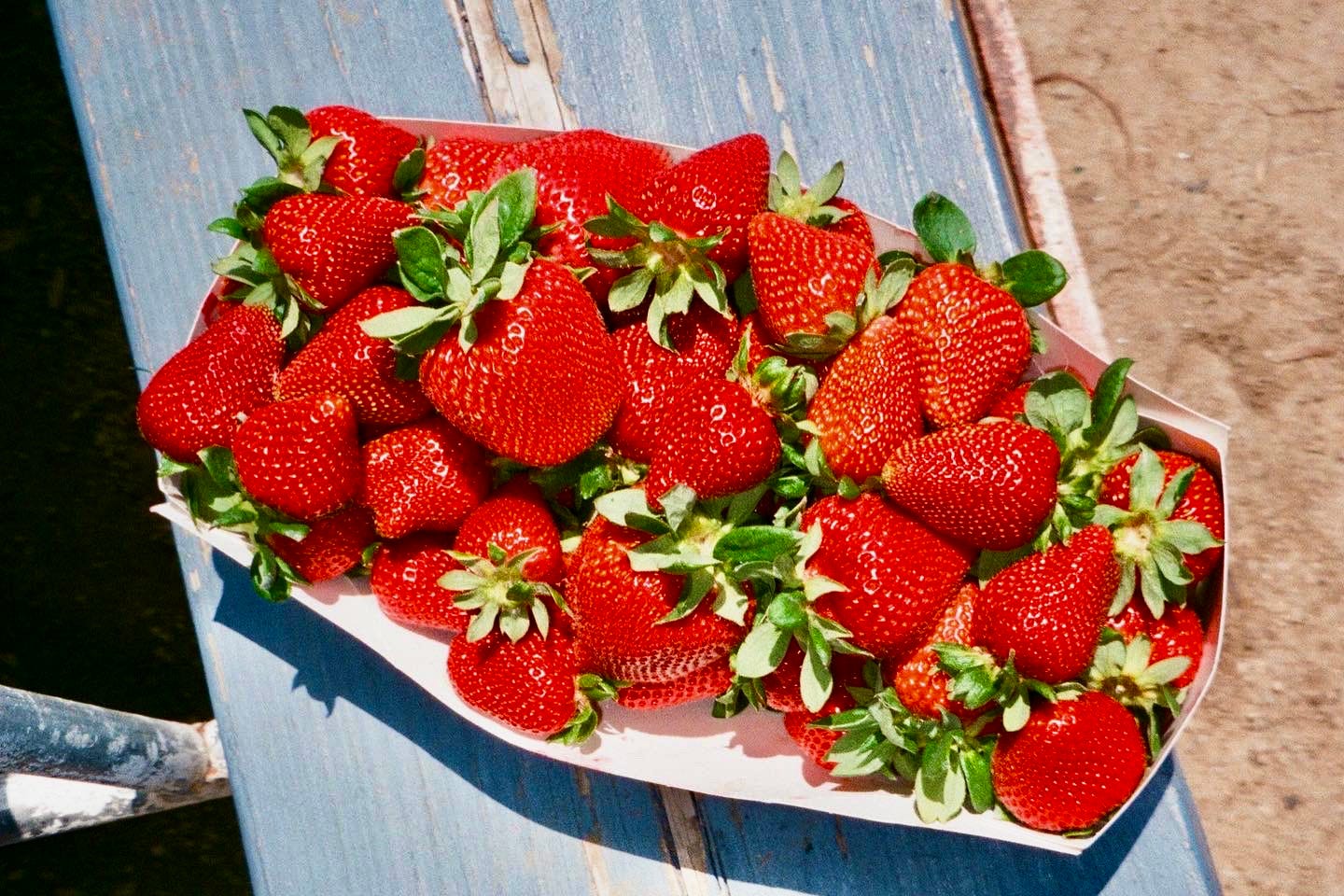 Strawberries - by Sam Rogers - Sam Loves The Market