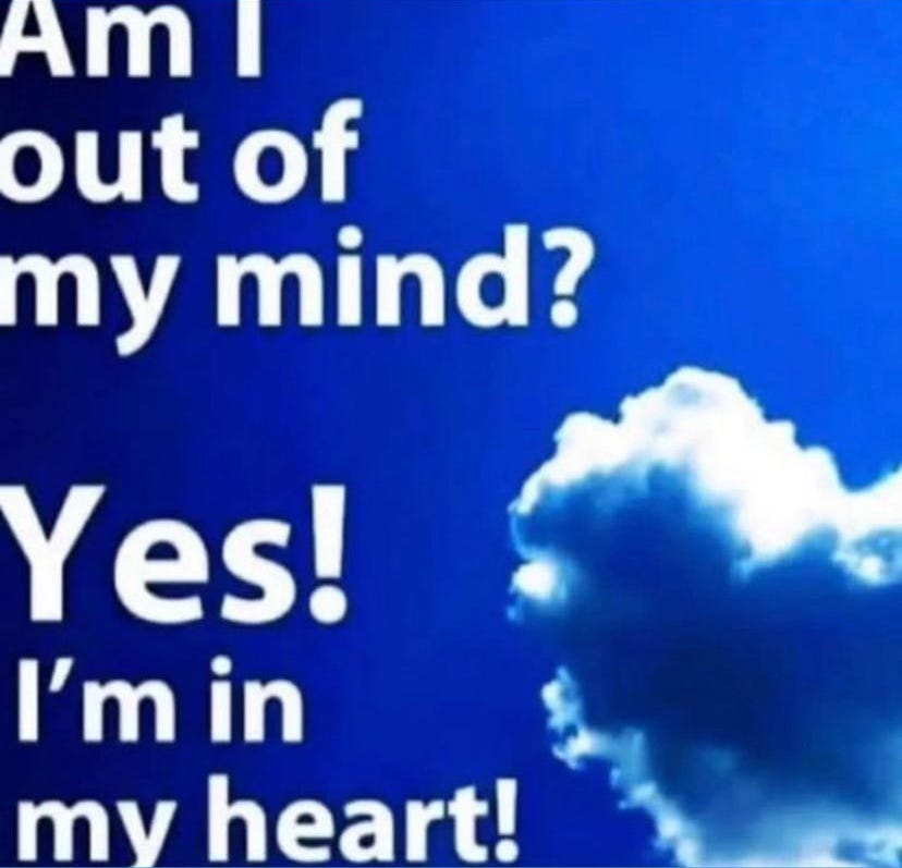 Anne Substack 12/28/24 - by Anne - The Dump