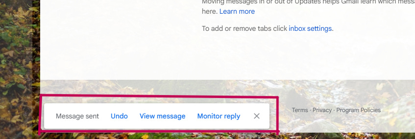 How Does an 'Undo Send' Feature Work in GMail?