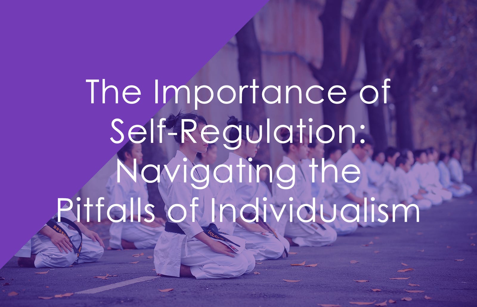The Importance of Self-Regulation - by Miles Franklin