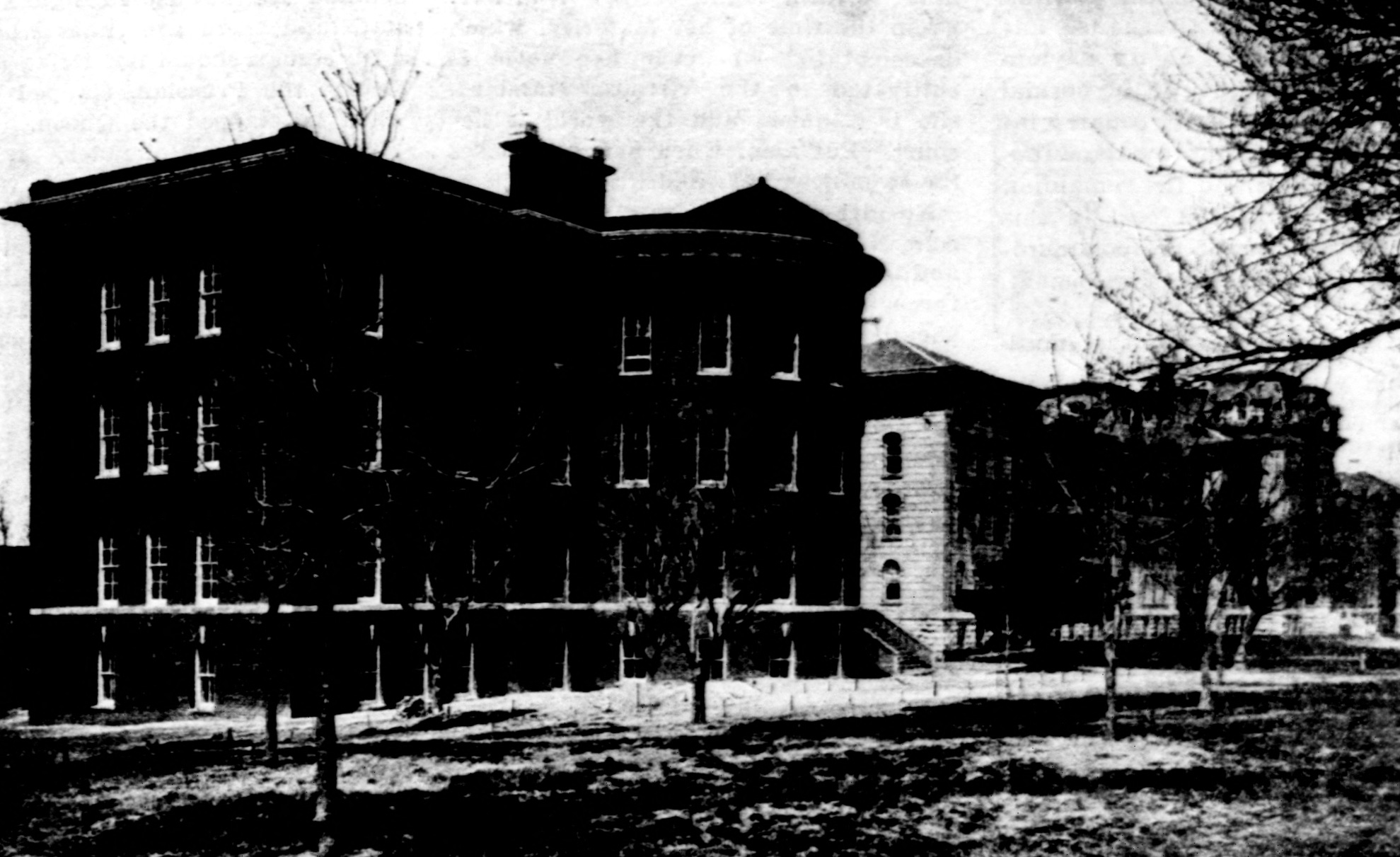 The Gingerbread House - by garry robson - garry’s Substack