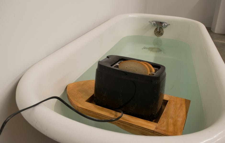 A Toaster's Ode to a Tub - Ricardo Guzman Jr