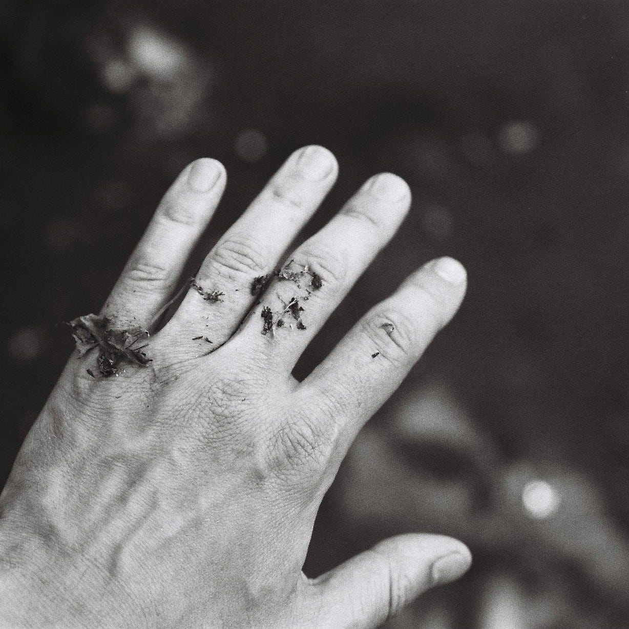 Zachary Ayotte | Substack