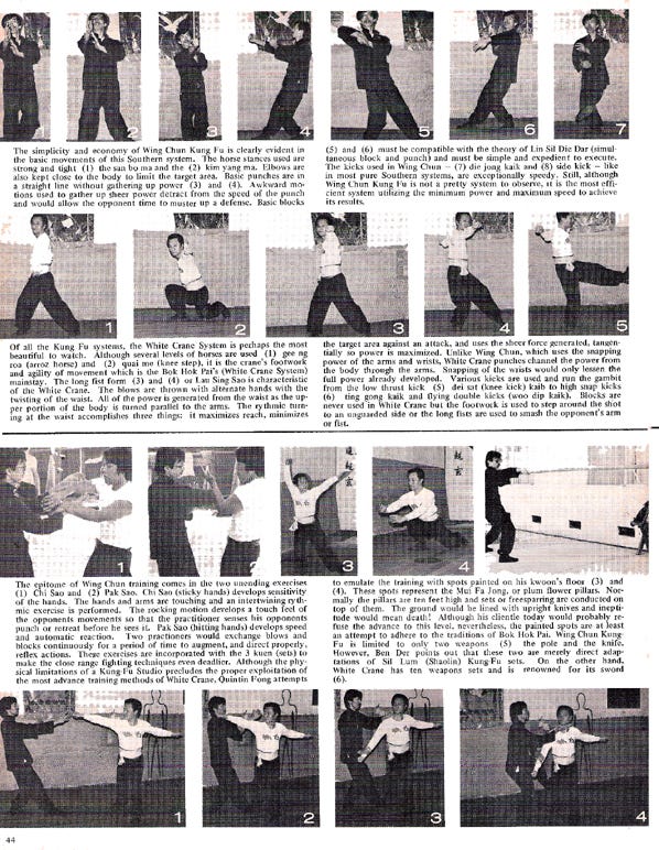 White Crane vs. Wing Chun - by SKM Gateway