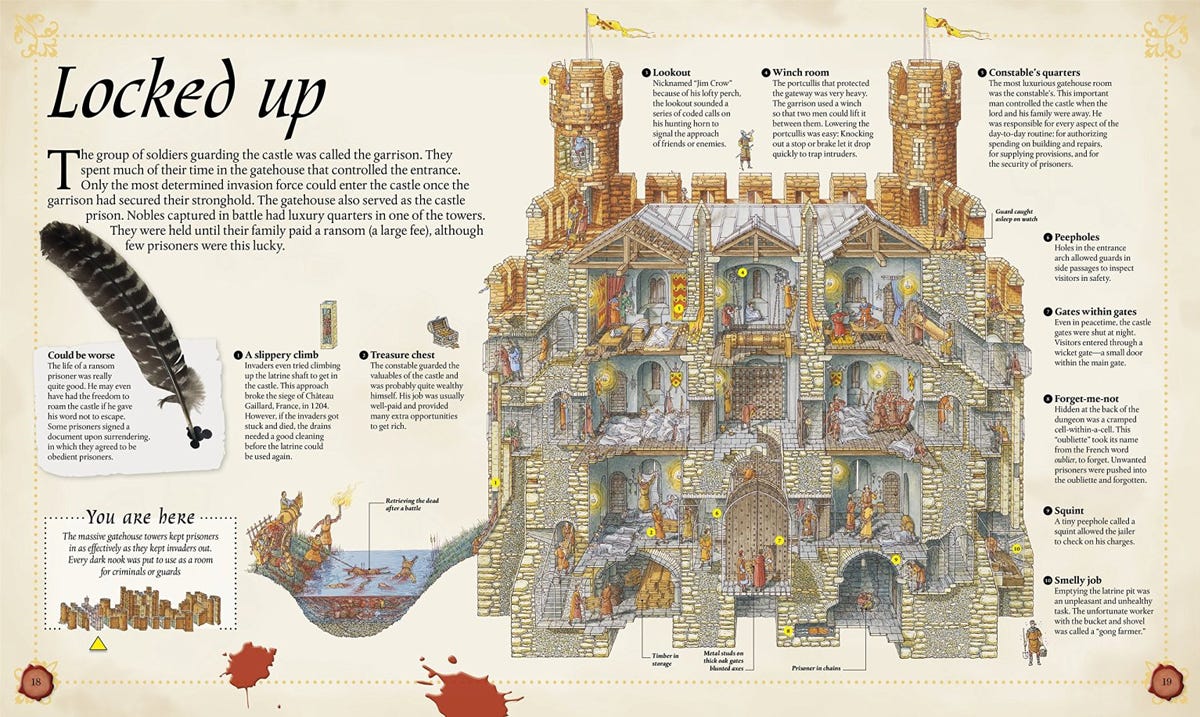 Cutaway to the cross-section - by Claire Robertson
