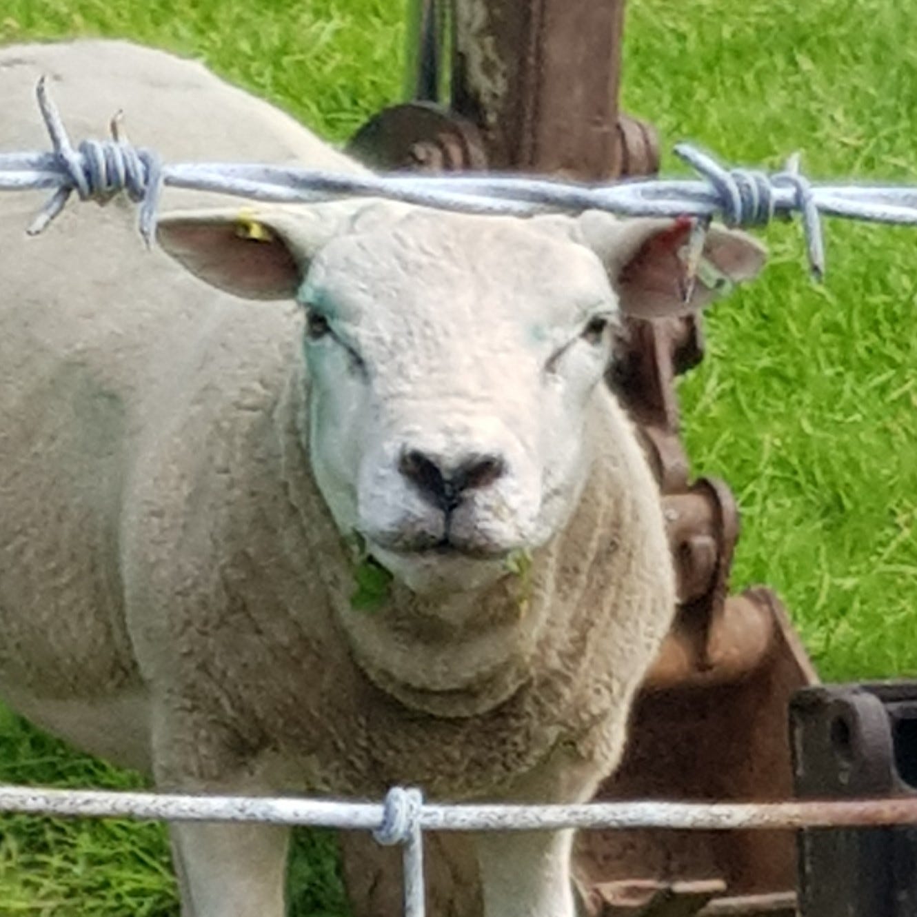 Andrew Old | Substack