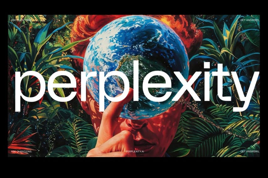 Netizen: Apple And Perplexity