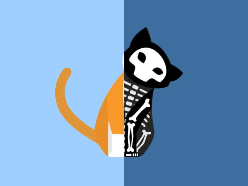 Schrodinger Cat Wallpaper