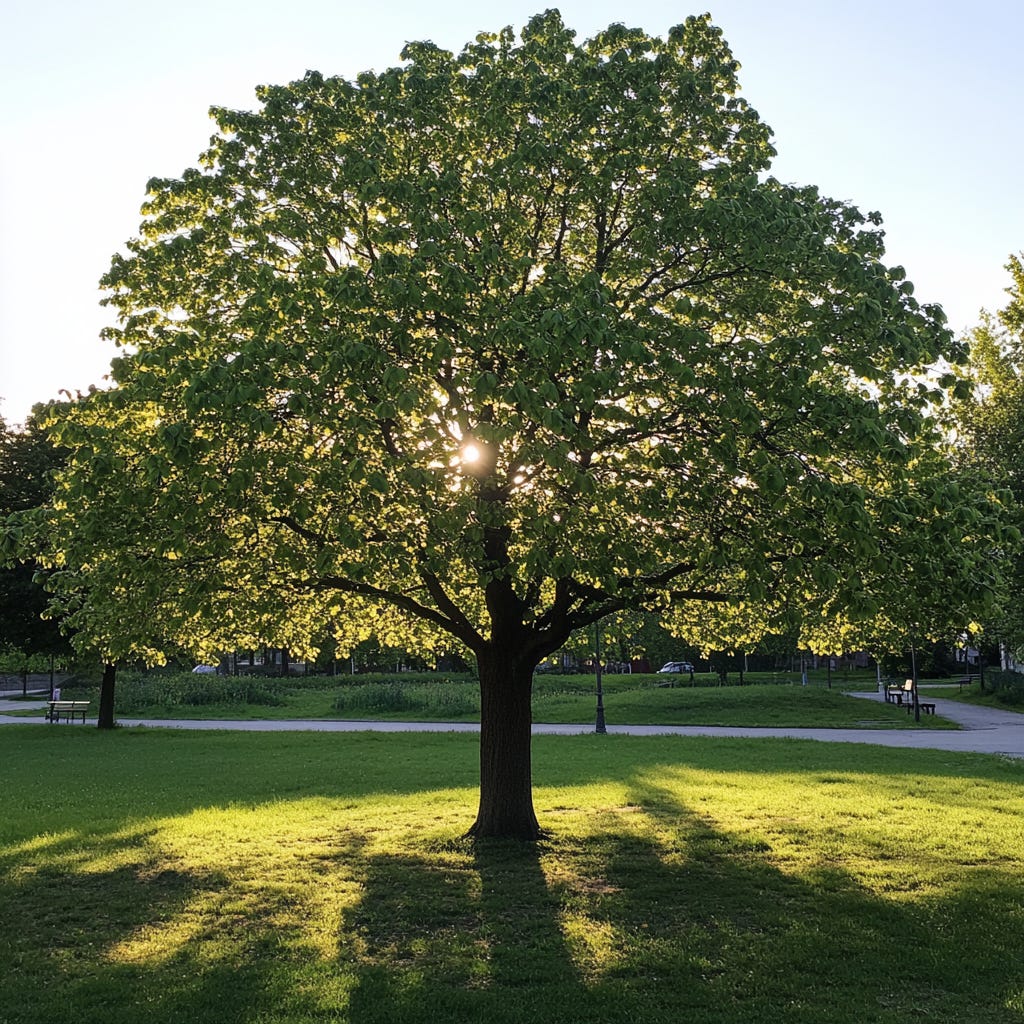 Decision Trees (Part 2): CART – One is a Regression Tree, the Other is ...