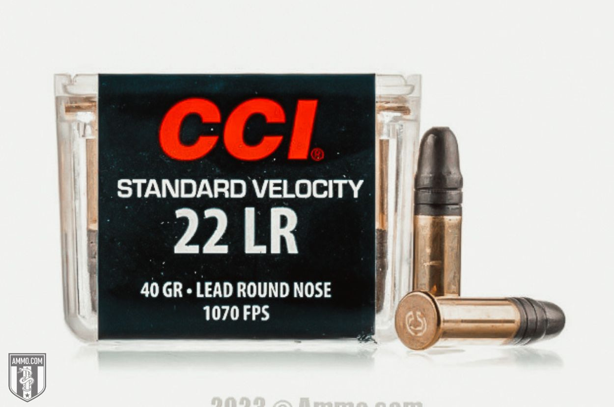 Best 22 Pistol Ammo: Plinking, Hunting, Competition, and More!