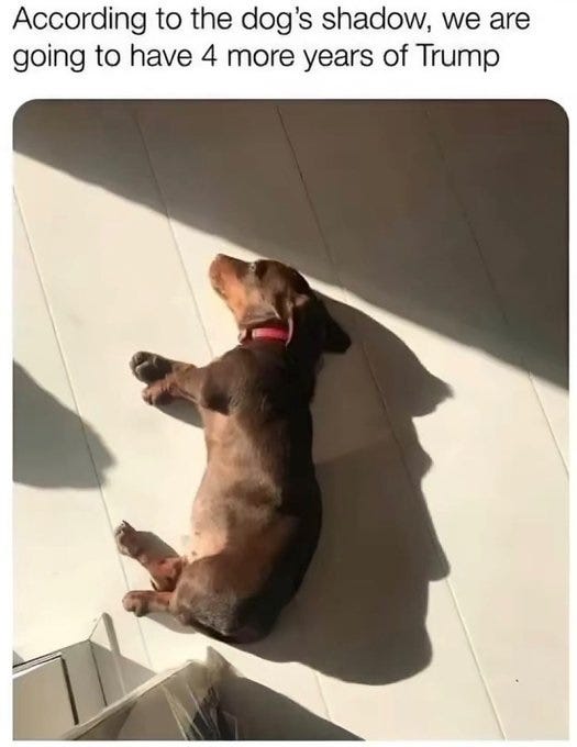 Art of the Collapse, November 2024 - John Rubino's Substack