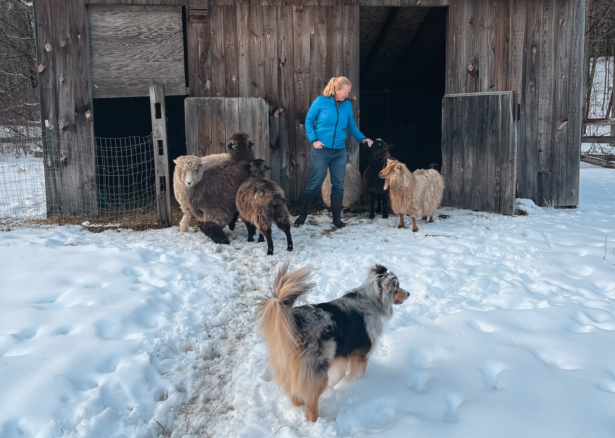 Accepting Loss on your Homestead