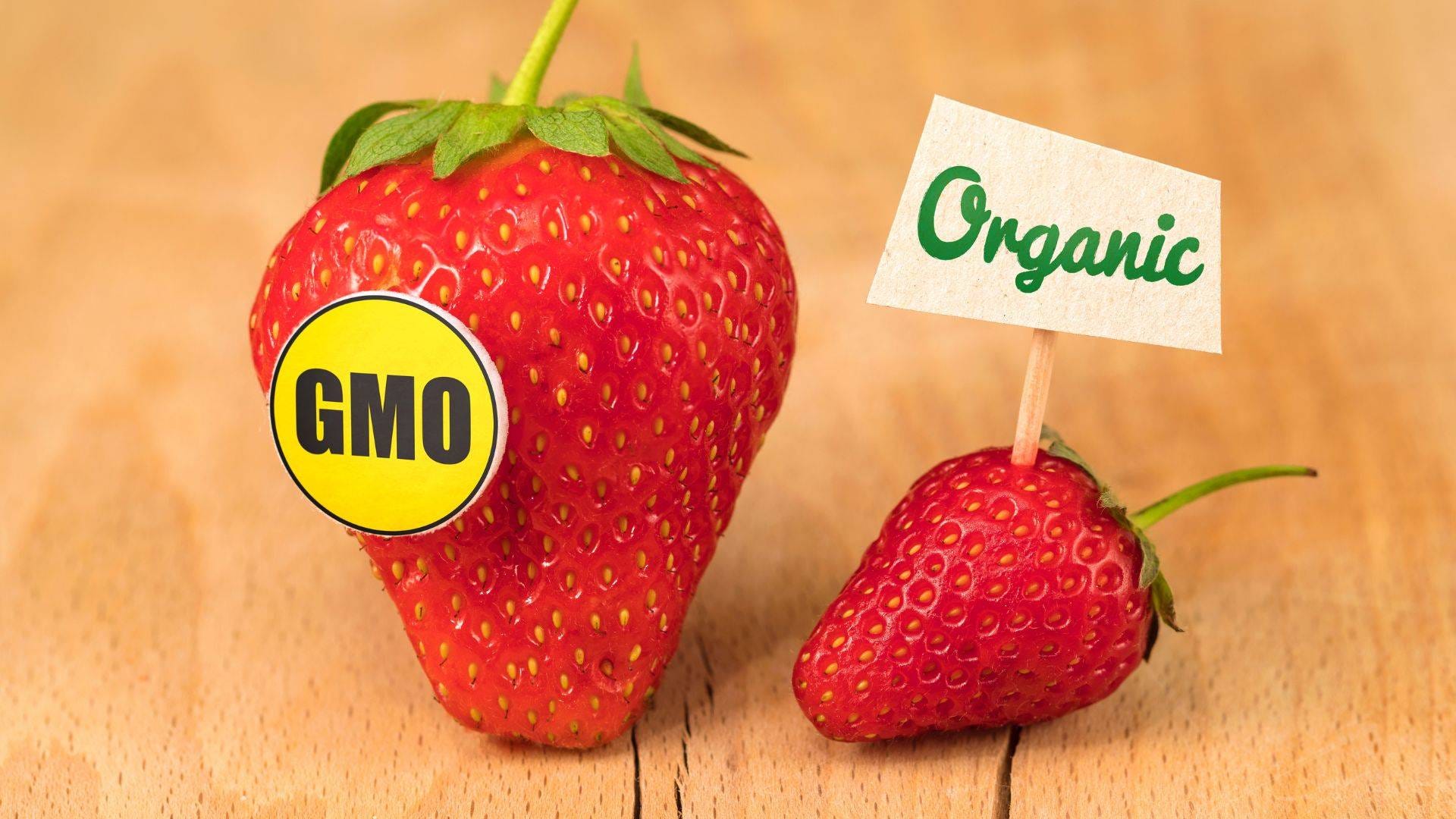 How Can We Avoid GMO’s & Processed Foods