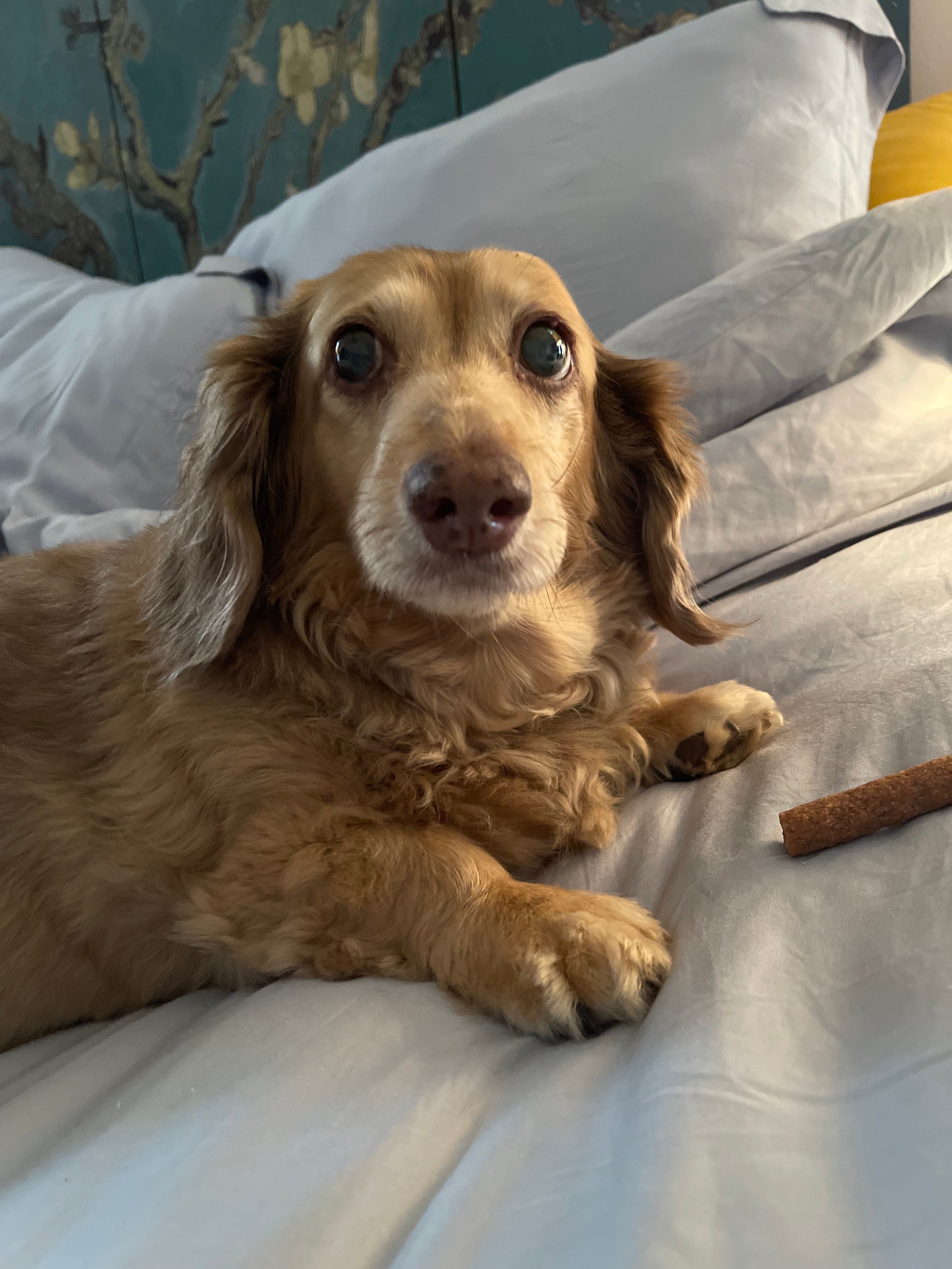 Colors - by Shelby L Moorer