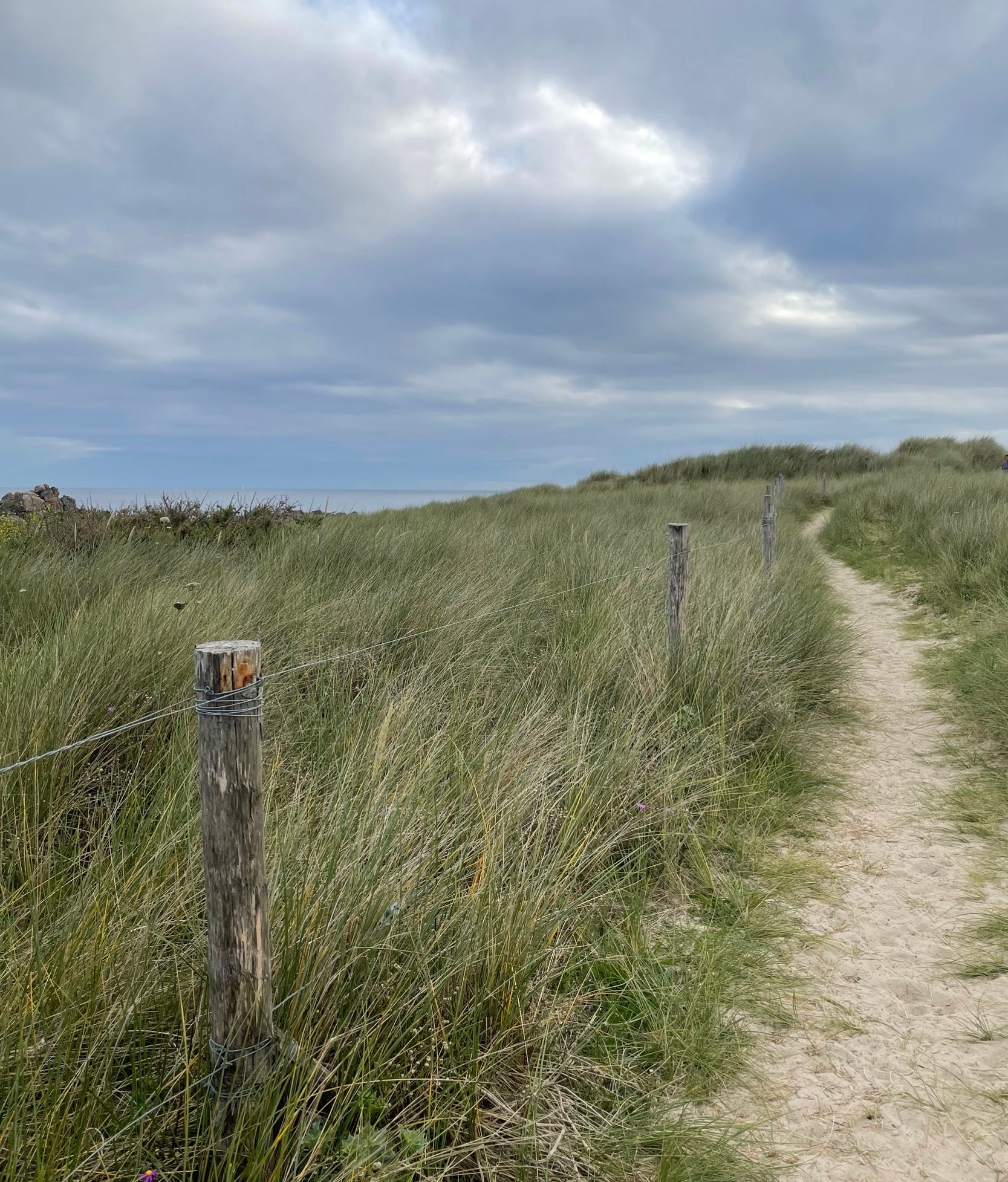 July - by Judith - Scrumptious Seasons